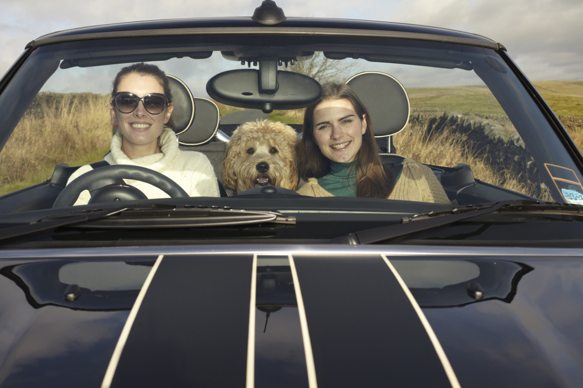 Top 10 Cars for Mums this Mother’s Day | Regit